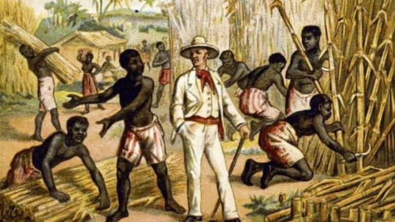 Les Békés de Martinique : Histoire et Culture des descendants d ...